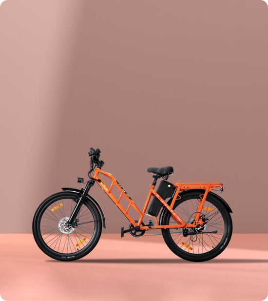 Hum: India's 1st Heavy Duty Electric Cycle | Cargo E-bike | Premium ...
